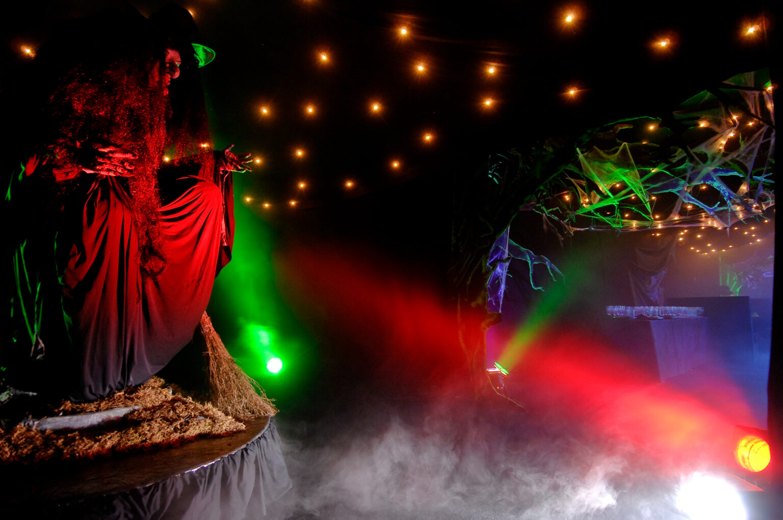 How to Plan a Wicked-Themed Party - TLC Limited - The Taylor Lynn ...