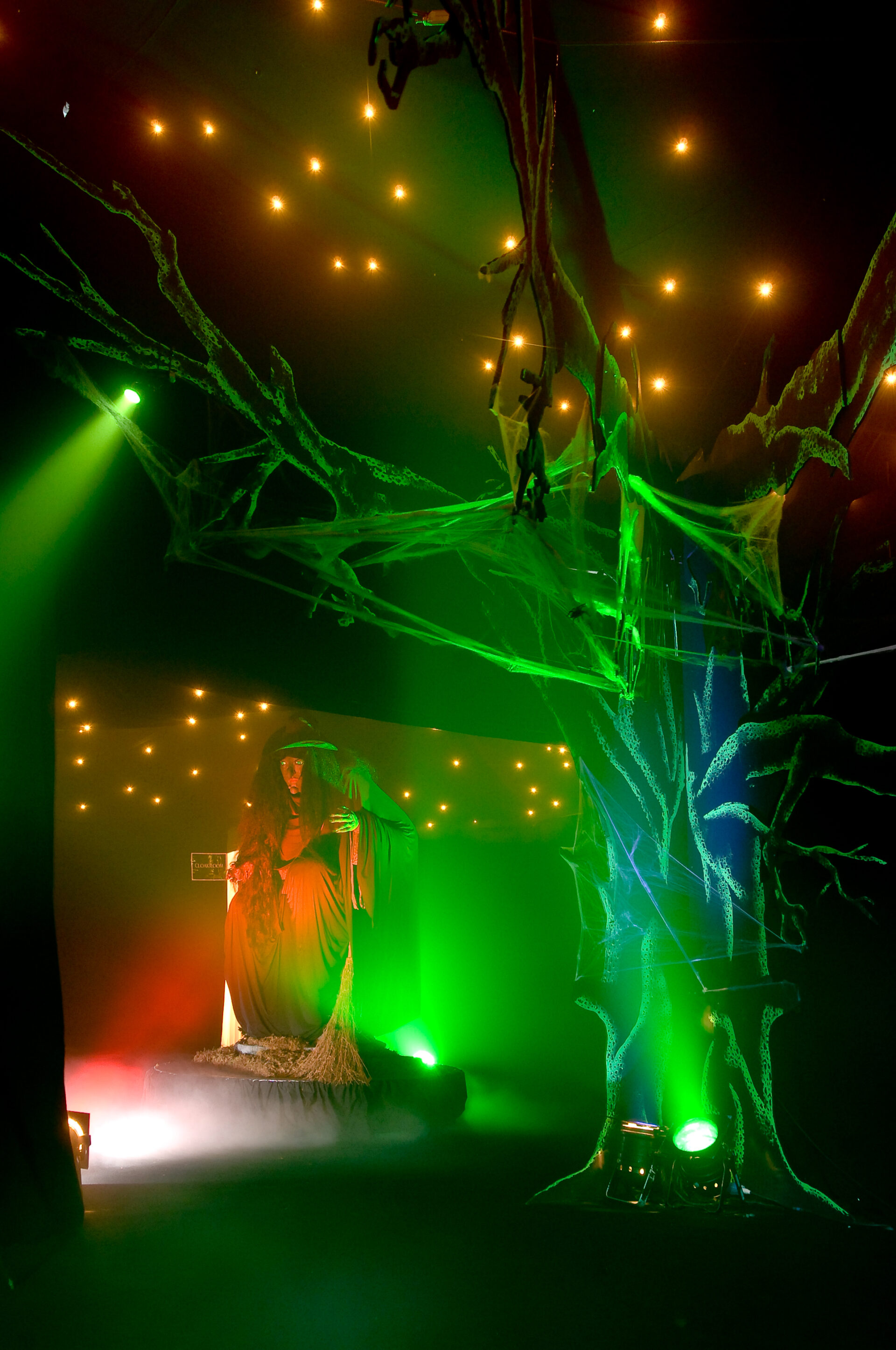 How to Plan a Wicked-Themed Party - TLC Limited - The Taylor Lynn ...