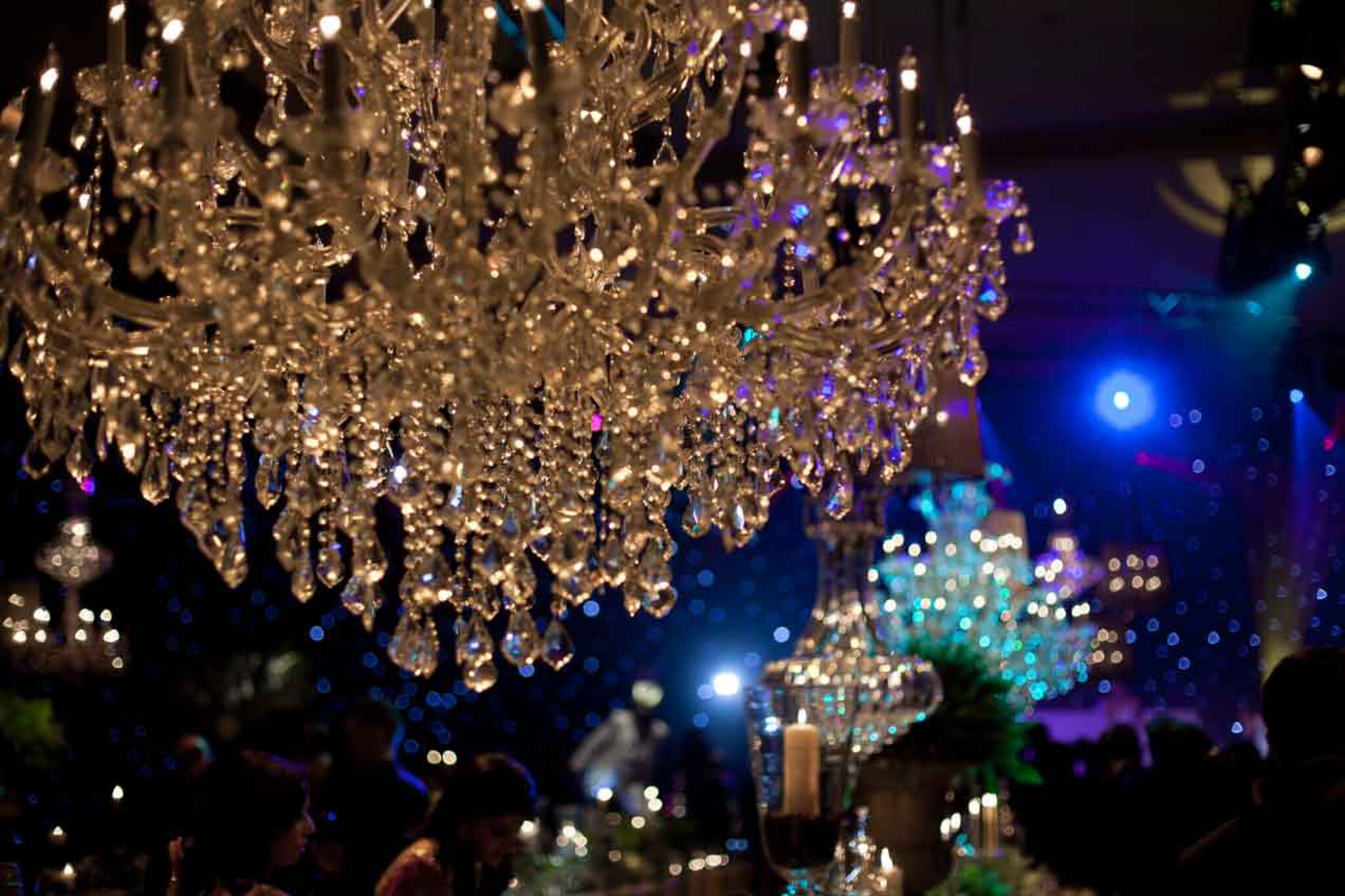 Traitors-Themed Party Ideas - TLC Limited - The Taylor Lynn Corporation